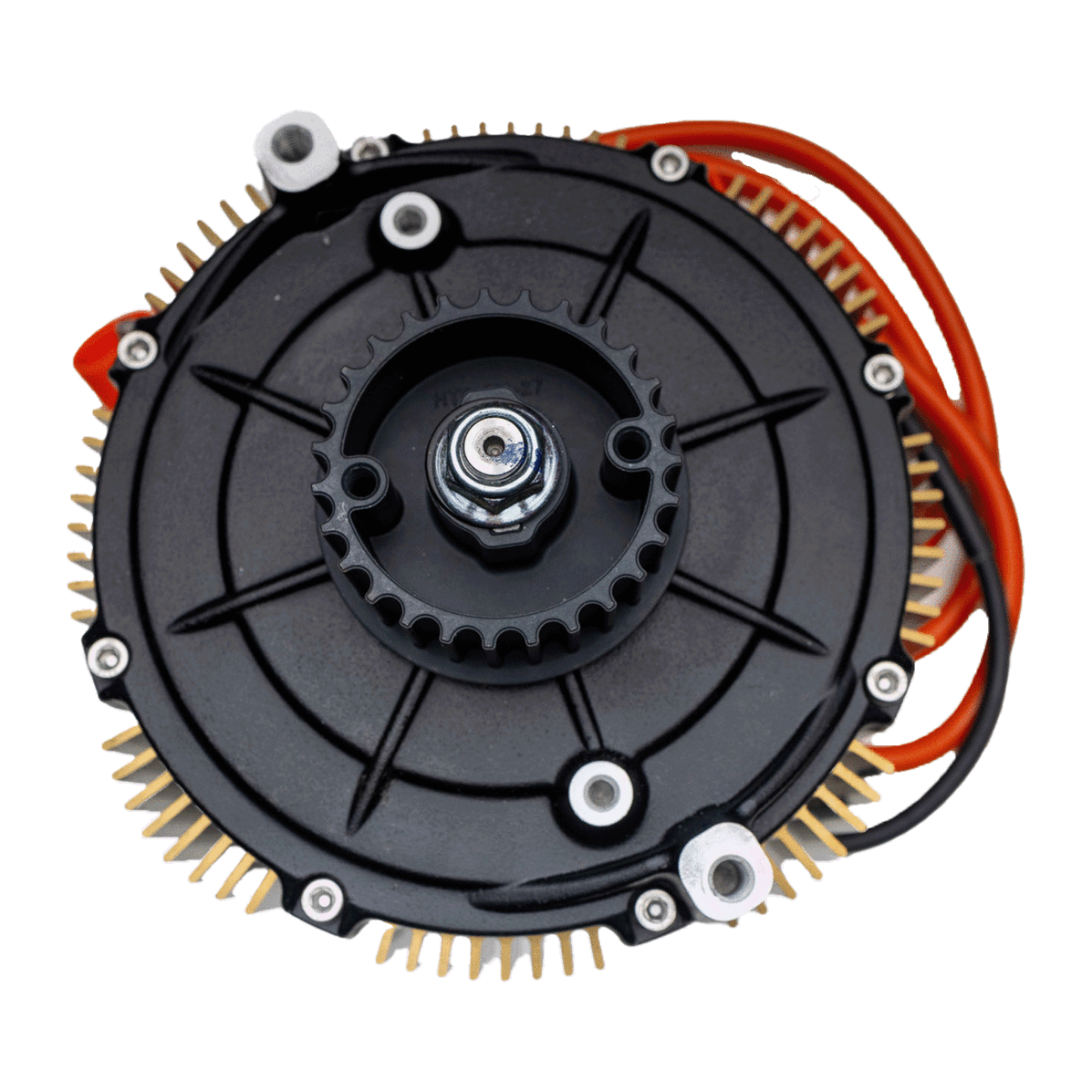 Ultra Bee Motor Assembly (2023-2024) — Surron Canada